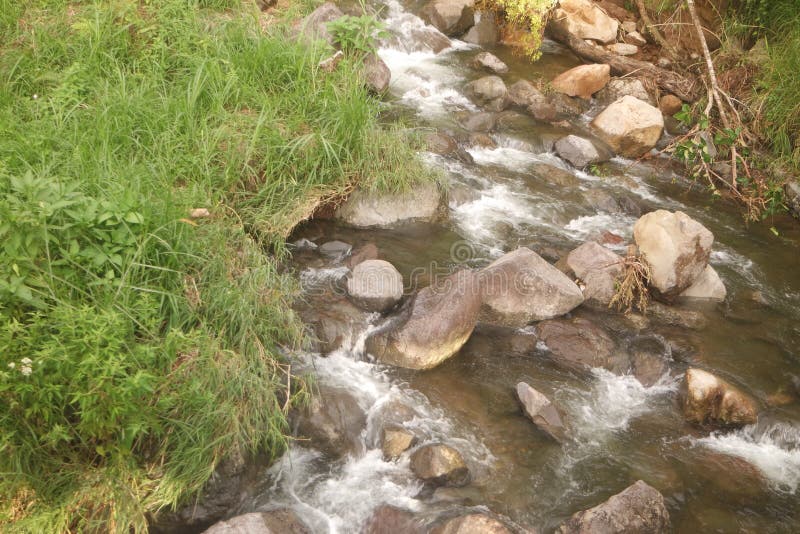 Stream in the Tropical Forest of Malalak Stock Image - Image of ravine ...
