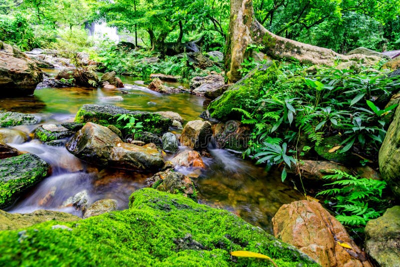 Stream in tropical jungle stock photo. Image of erawan - 78600866