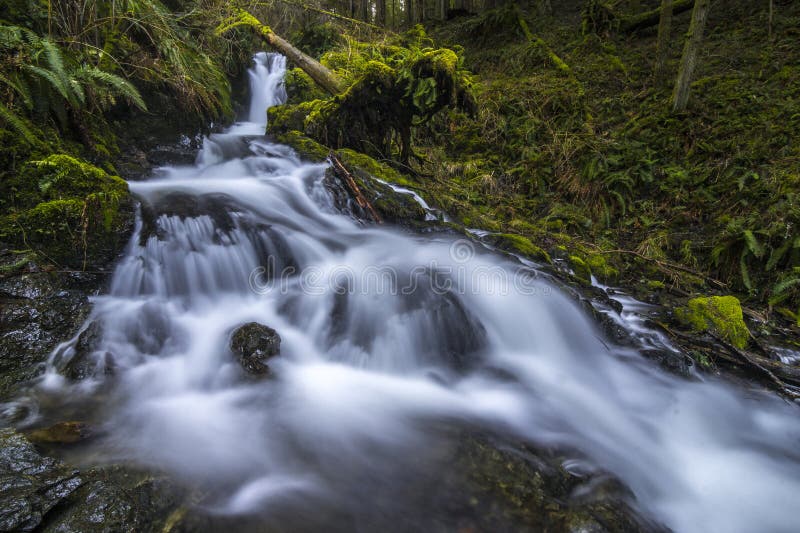 Stream on Orcas Island in the Puget Sound of Washington State. Stock ...