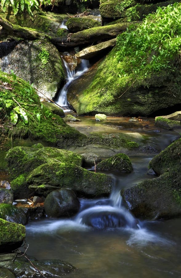 Stream Tumbling Over Moss and Rocks in a Small Beck Stock Photo - Image ...