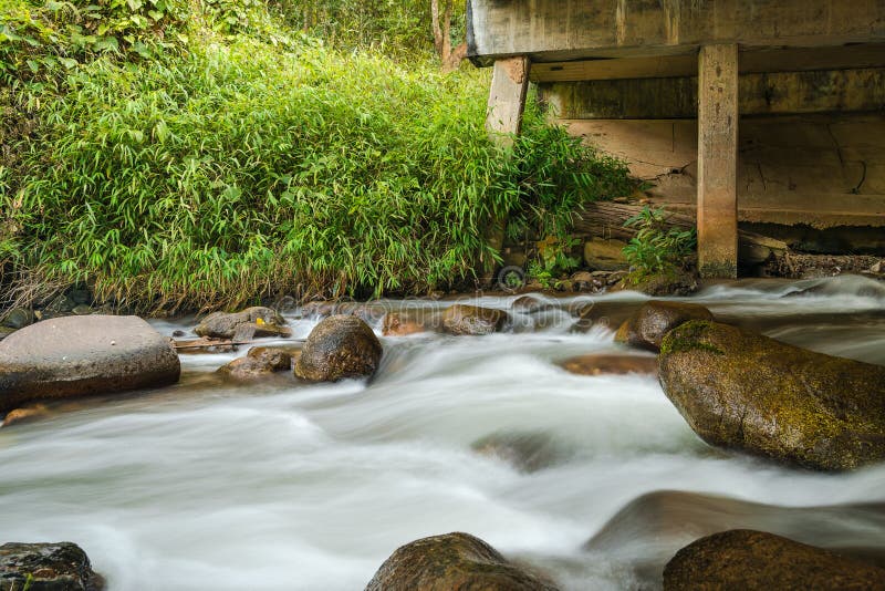 Stream Under the Bridge in the Forest of Thailand Stock Photo - Image ...
