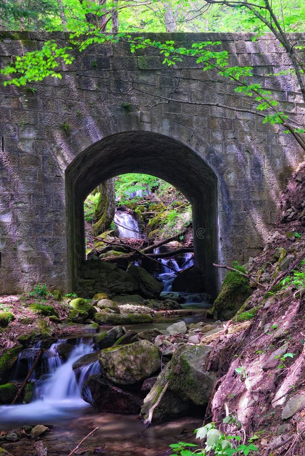Stream under the bridge stock image. Image of park, leaf - 39165537