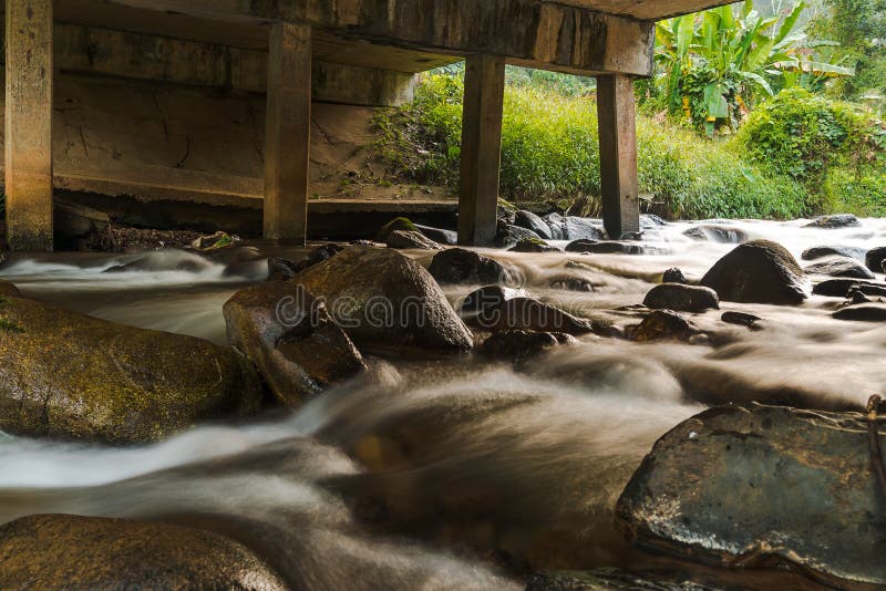Stream Under the Domestic Bridge in the Forest of Thailand Stock Photo ...