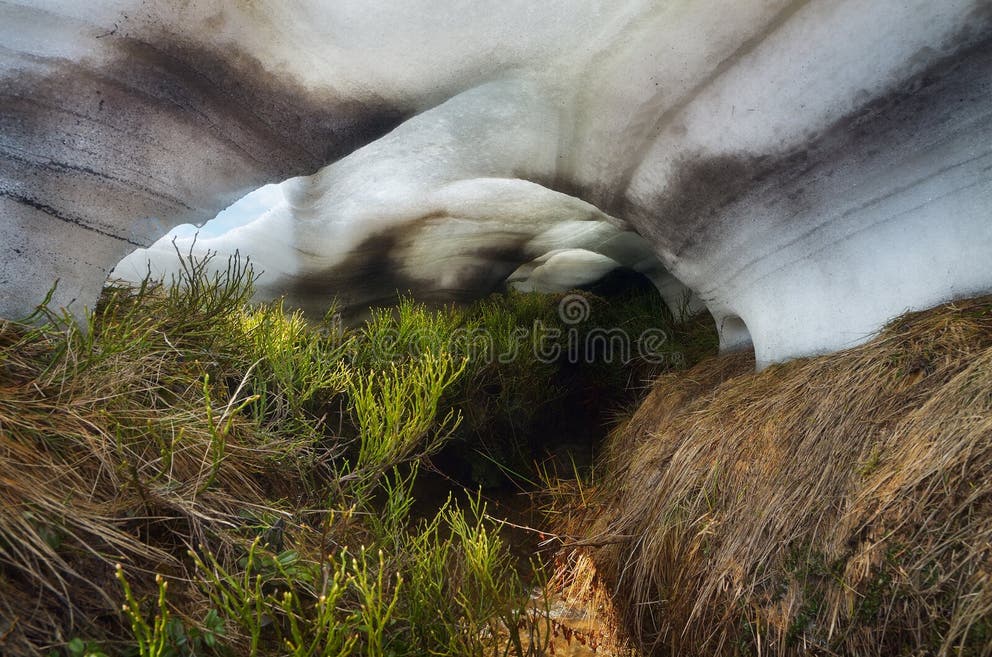 Stream under the ice stock image. Image of environment - 39014131