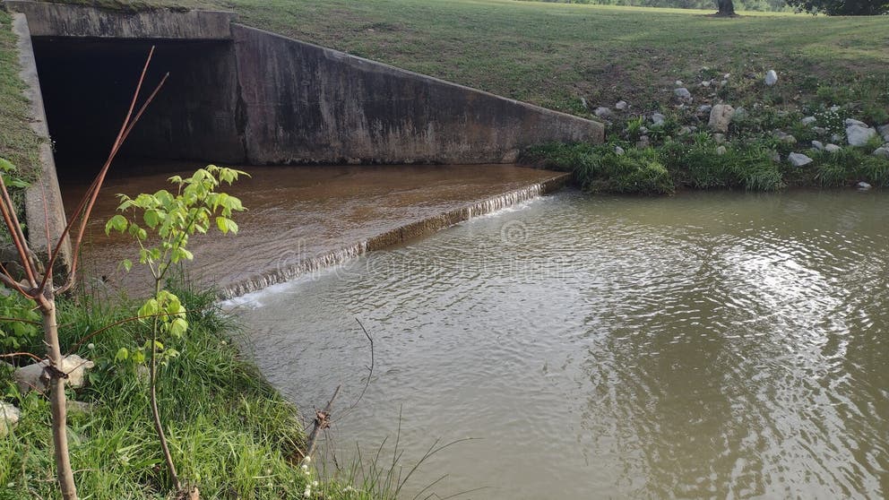 Stream underpass at park stock image. Image of farm - 247636747