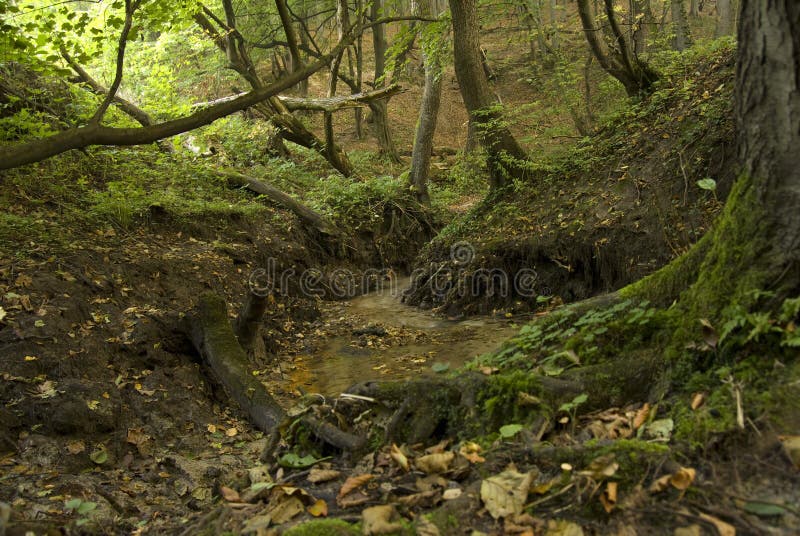 Stream in the valley stock photo. Image of landscape - 11042768