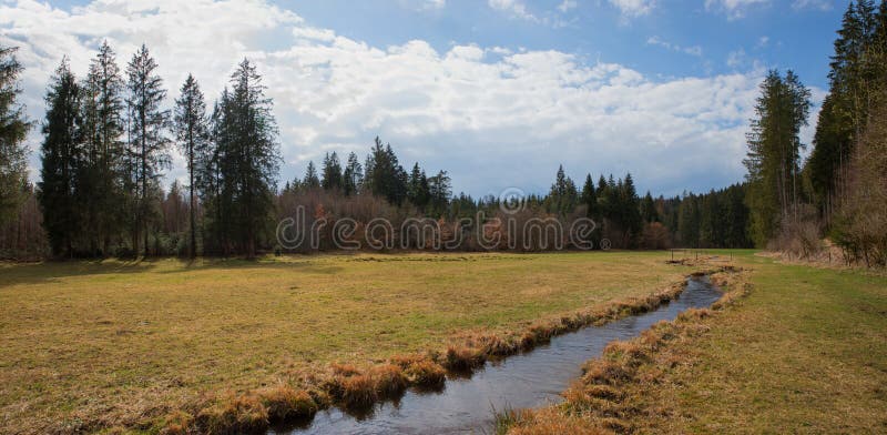 Stream Valley with Meandering Brook at Springtime Stock Image - Image ...