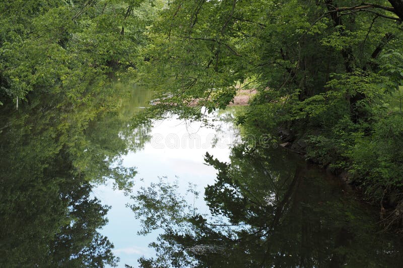 The Stream is Very Calm and it Does Not Look Like it is Moving. Stock ...