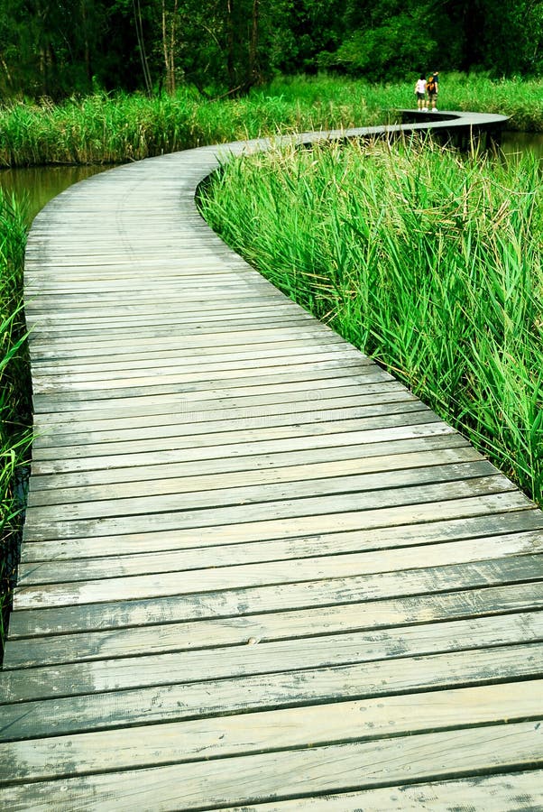 Stream Walk stock photo. Image of bridge, boardwalk, hongkong - 2786820