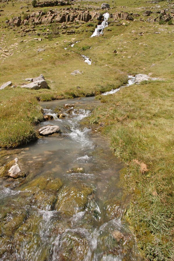 Stream of water stock photo. Image of clear, green, creek - 2426806