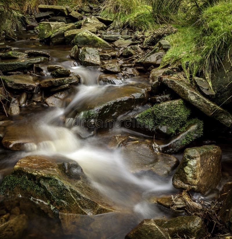 Stream of water stock image. Image of fall, flowing, green - 37508161