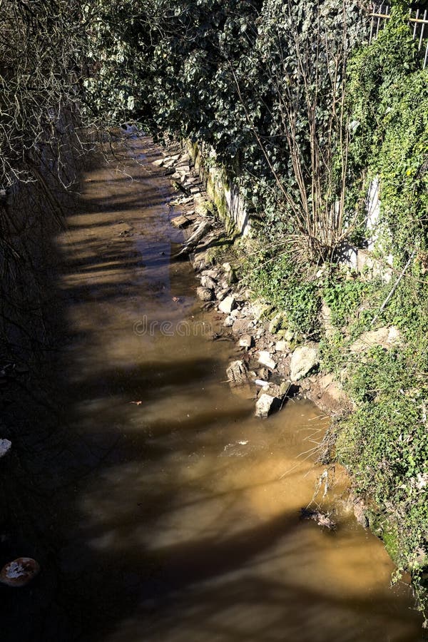 Stream of Water with Bare Trees on a Sunny Day Stock Image - Image of ...