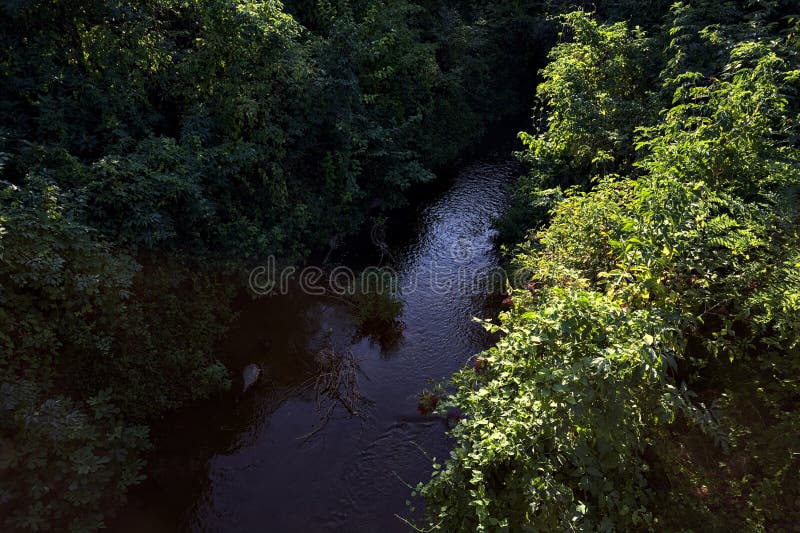 Stream of Water Bordered and Surrounded by Trees in the Italian ...