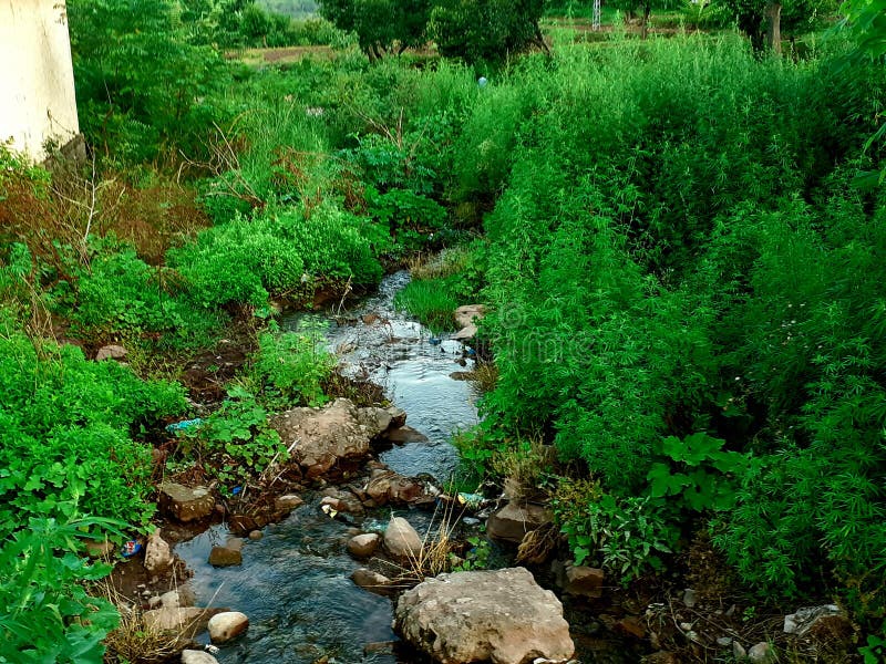 Stream Water Coming Down in Valley Stock Image - Image of water, valley ...