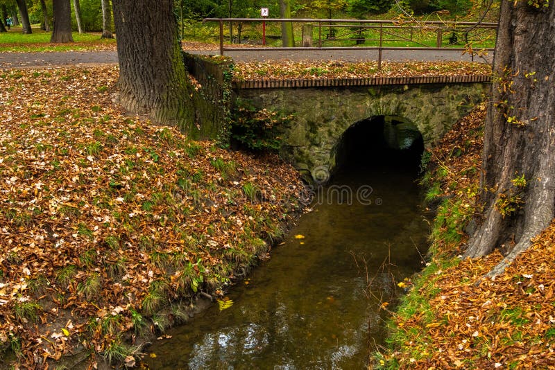 Stream of Water Crossing Under a Bridge in the Park Stock Photo - Image ...