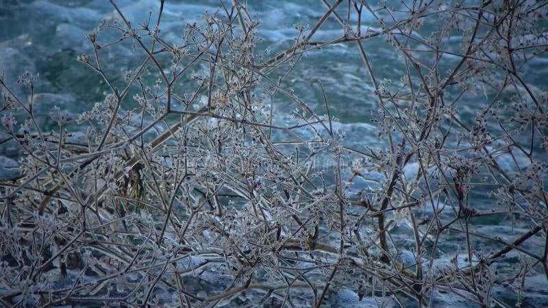 Stream Water Falling Down Bursting Ecology Background. Raging Clean ...