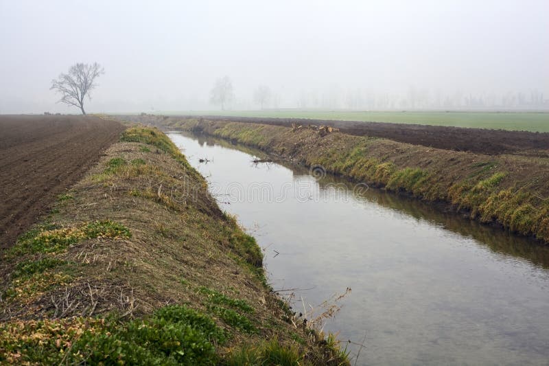 Stream of Water between Fields with Trees Covered by the Fog in the ...