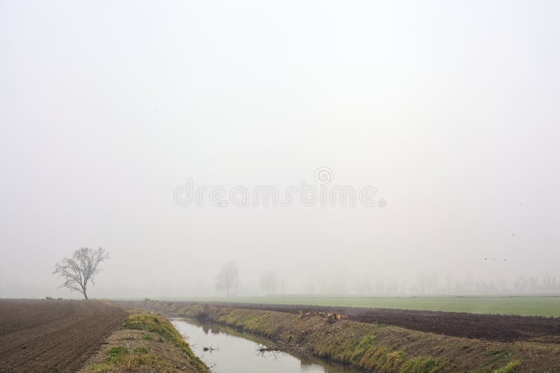 Stream of Water between Fields with Trees Covered by the Fog in the ...