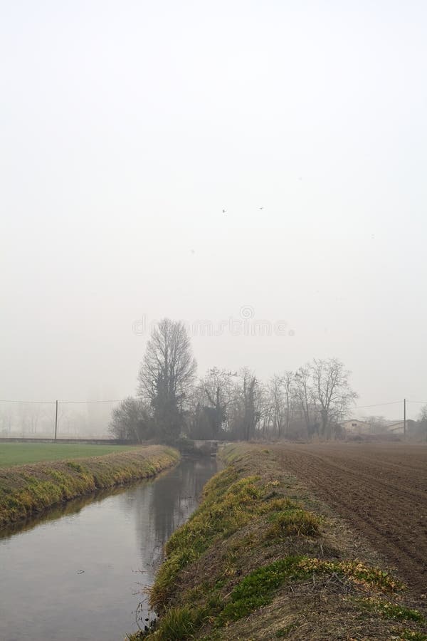 Stream of Water between Fields with Trees Covered by the Fog in the ...