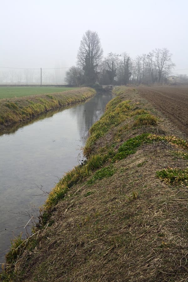 Stream of Water between Fields with Trees Covered by the Fog in the ...