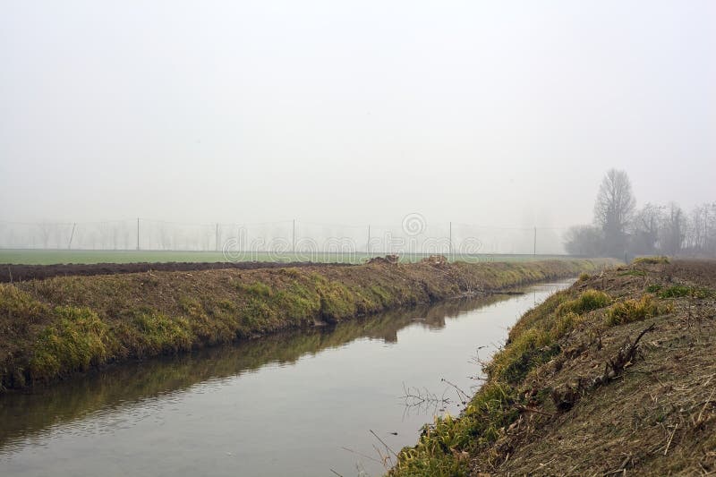 Stream of Water between Fields with Trees Covered by the Fog in the ...