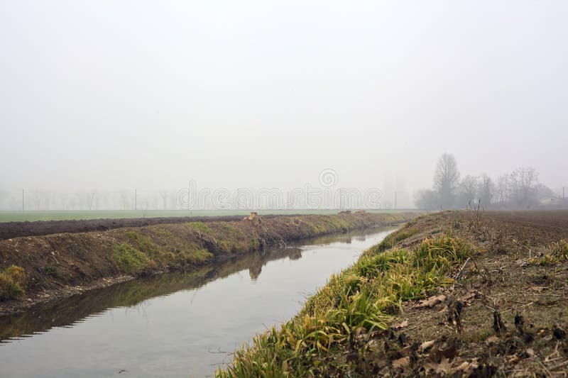 Stream of Water between Fields with Trees Covered by the Fog in the ...