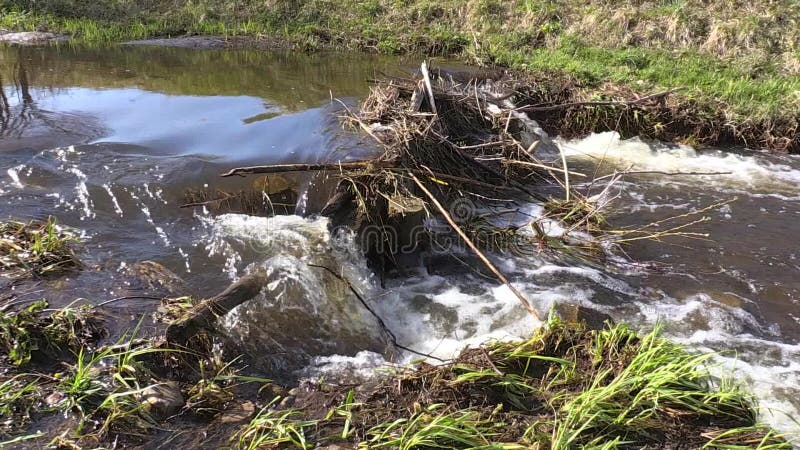 Stream Water Flow through Dam Stock Footage - Video of beauty, garbage ...
