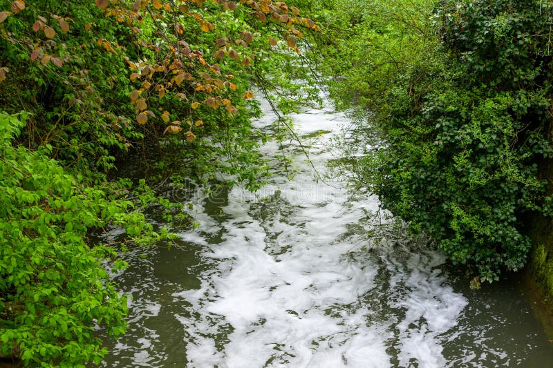 Stream of Water is Flowing through a Forest with Foam. Stain on River ...