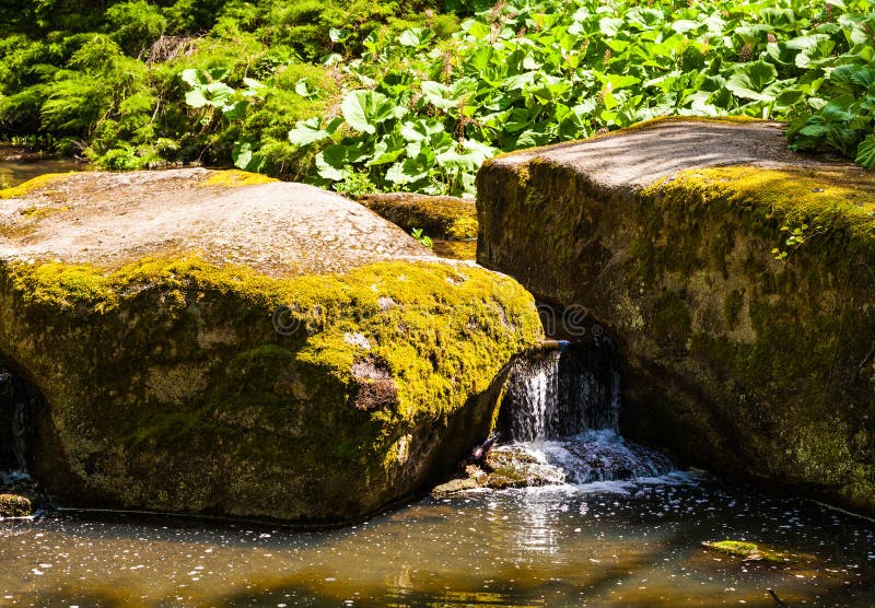 Stream of water stock image. Image of natural, peaceful - 54445711