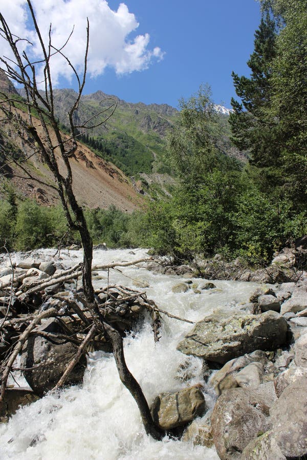 Stream of Water Flowing in a River Stock Photo - Image of outdoor ...