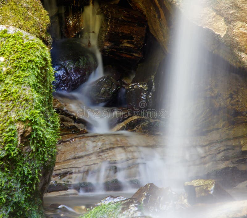 Rocky Path Over Forest Ogden Water Stock Image - Image of water, rock ...