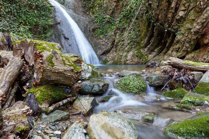 Rocky Path Over Forest Ogden Water Stock Image - Image of water, rock ...