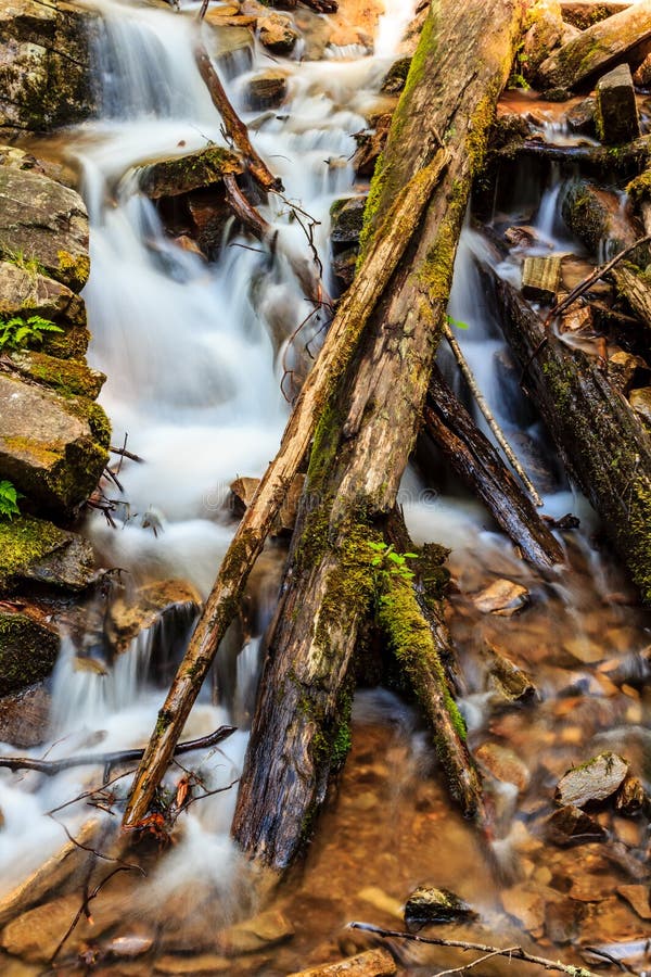 A Stream of Water Flows Over a Pile of Logs Stock Photo - Image of ...