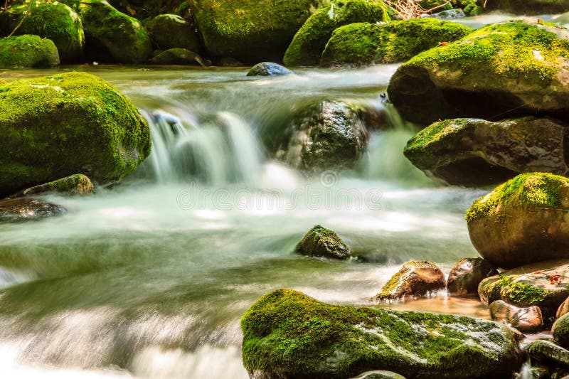 A Stream of Water Flows Over Rocks and Moss Stock Image - Image of ...