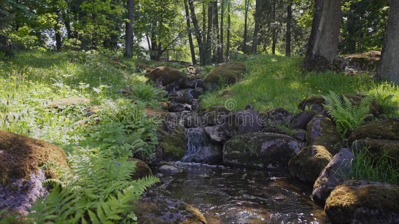 Water Flows Under the Bridge Stock Footage - Video of flowing, rock ...