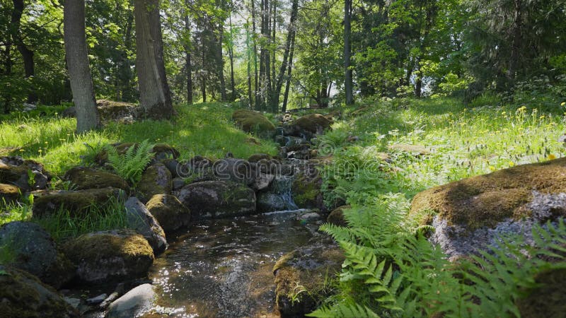 Water Flows in Thin Stream from the Tap in Kitchen, from Tap is Flows ... Water Flows in Thin Stream from the Tap in Kitchen, from Tap is Flows ...