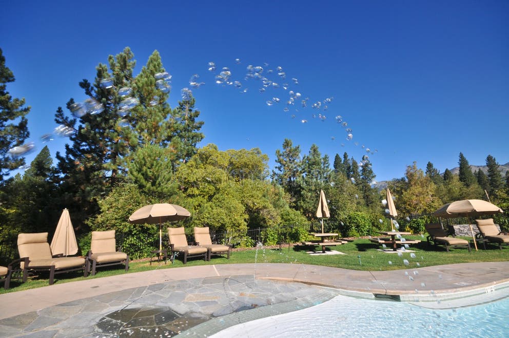 Stream of Water Fly into a Pool Stock Image - Image of drops, pine ...