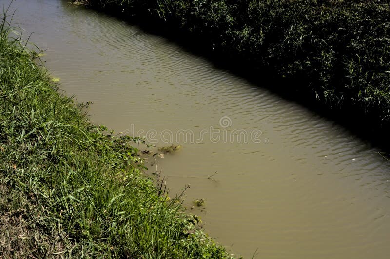 Stream of Water with Grassy Edge Stock Image - Image of beatiful, duck ...