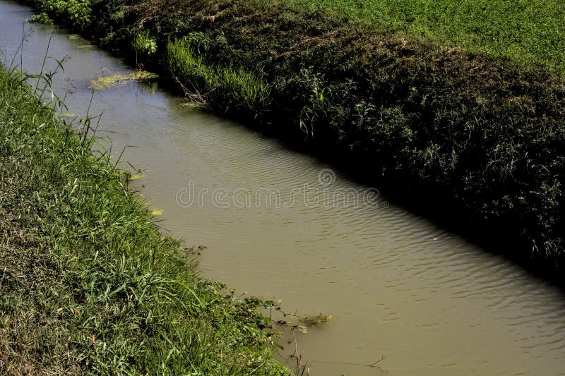 Stream of Water with Grassy Edge Stock Image - Image of clean, pond ...