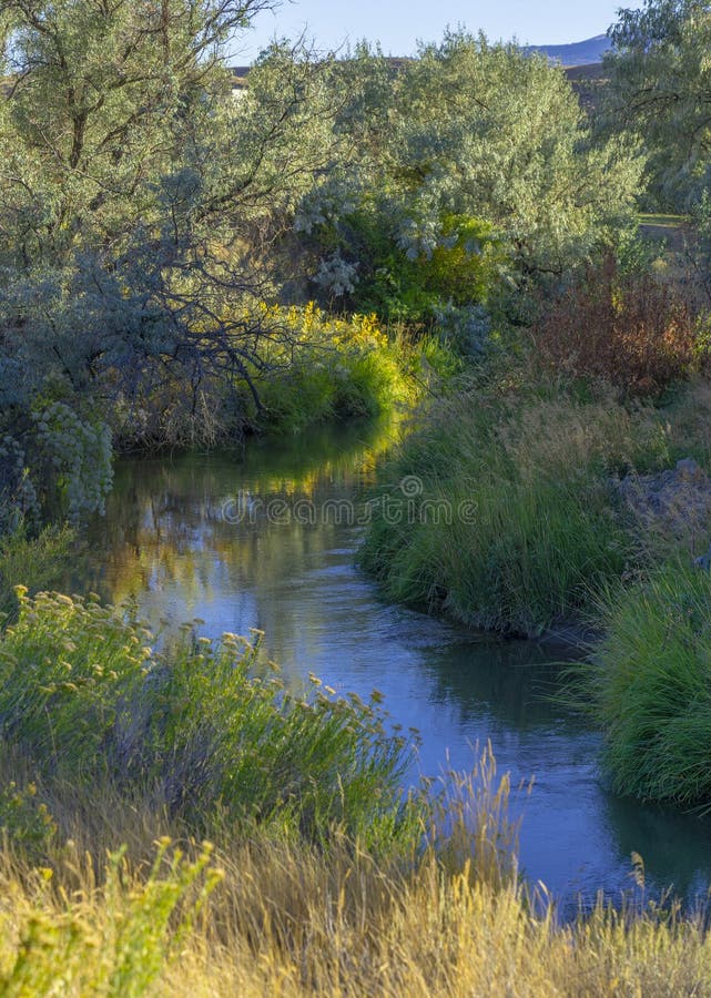 Stream of Water Landscape Forms an S-curve with Reflection As it Passes ...