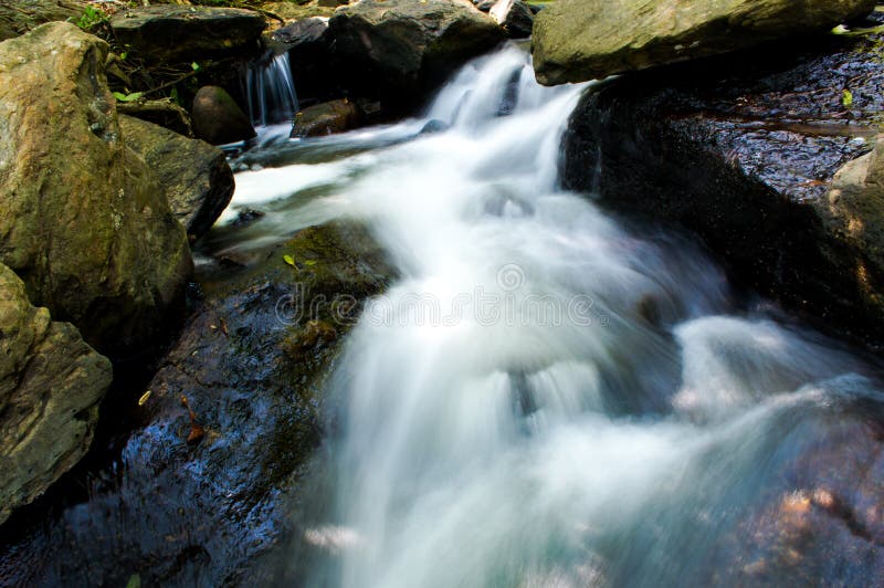 A stream of water stock image. Image of grass, small - 44073381