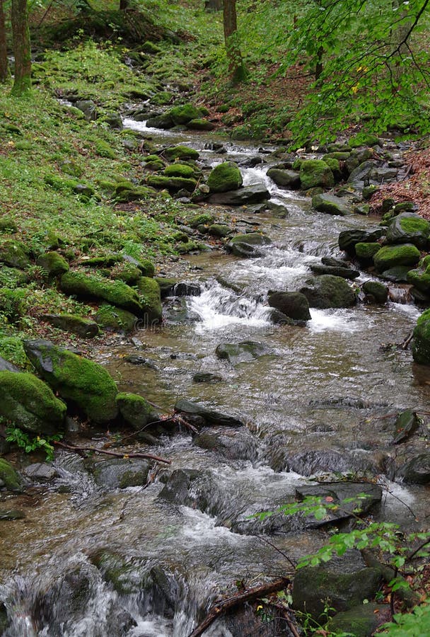 Stream, Water, Nature, Creek Picture. Image: 113166637