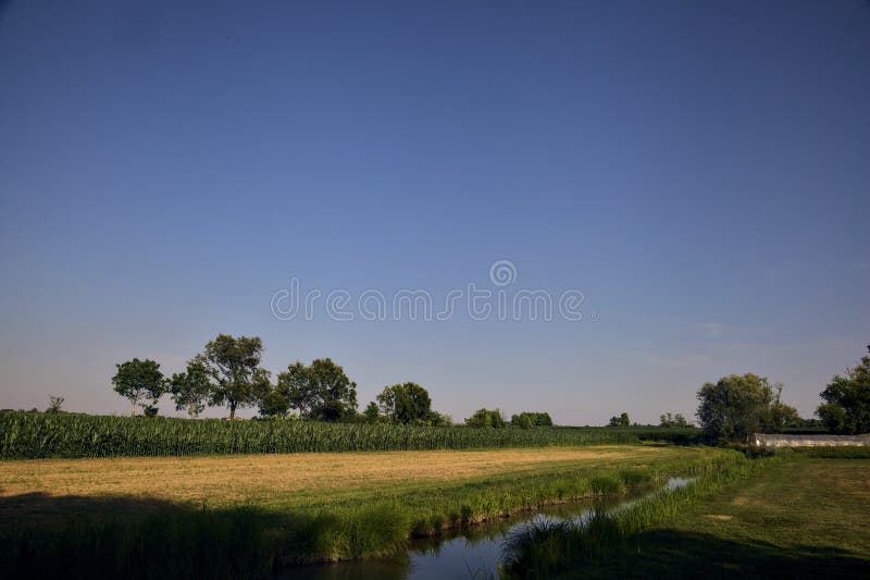 Stream of Water Next To a Field Stock Image - Image of flow ...