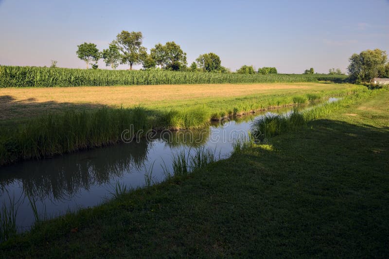 Stream of Water Next To a Field Stock Image - Image of leaf, meadow ...