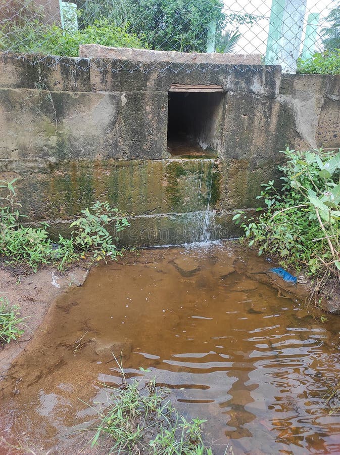 Stream in Water in the Place Stock Photo - Image of pond, river: 233975714
