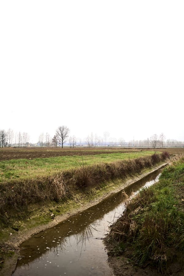 Stream of Water between Ploughed Fields on a Cloudy Day in the Italian ...