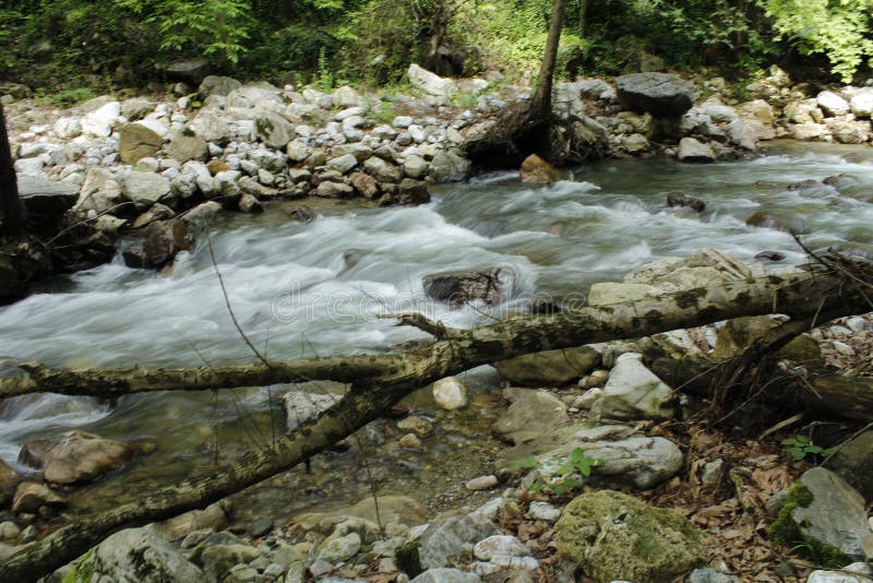 Stream, Water, Water Resources, Body Of Water Picture. Image: 125017403