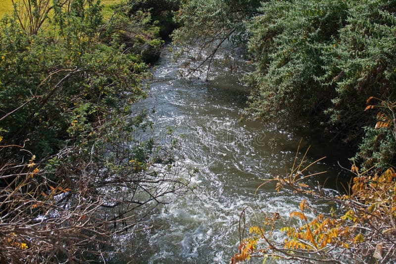 STREAM of WATER RUNNING through a PARK Stock Image - Image of nature ...