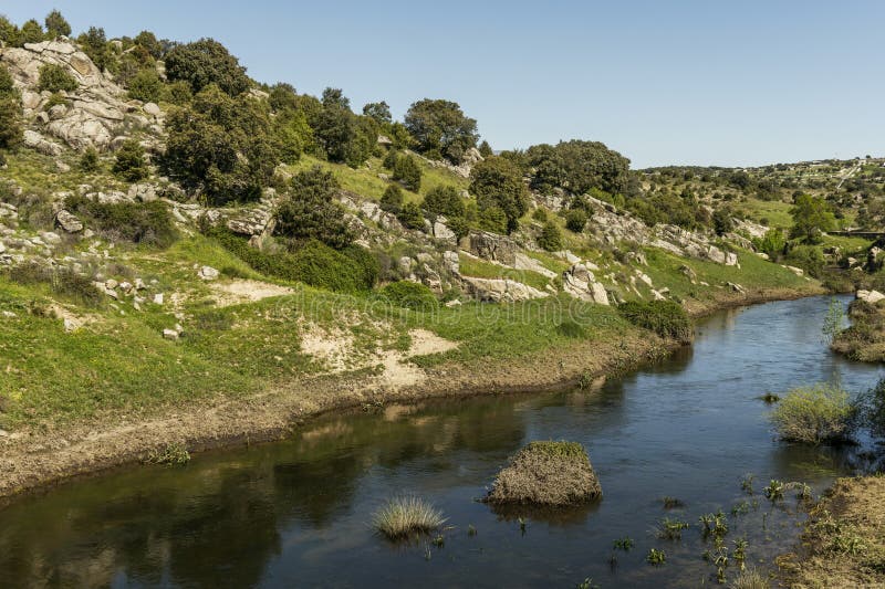A Stream of Water between Slopes Covered with Vegetation Stock Image ...