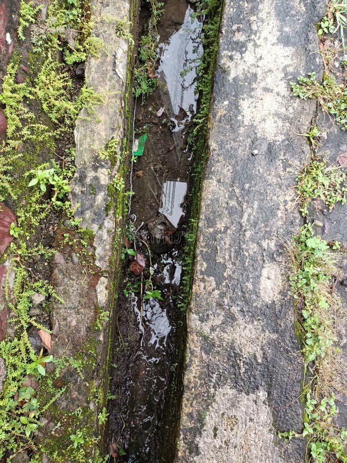 Water in a small ditch stock photo. Image of swiftly - 270035598